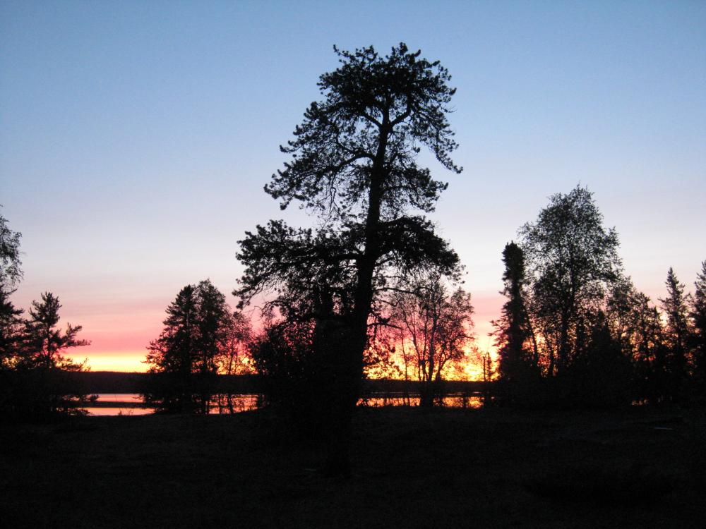 Northern Scenes | Taltson Lake Lodge